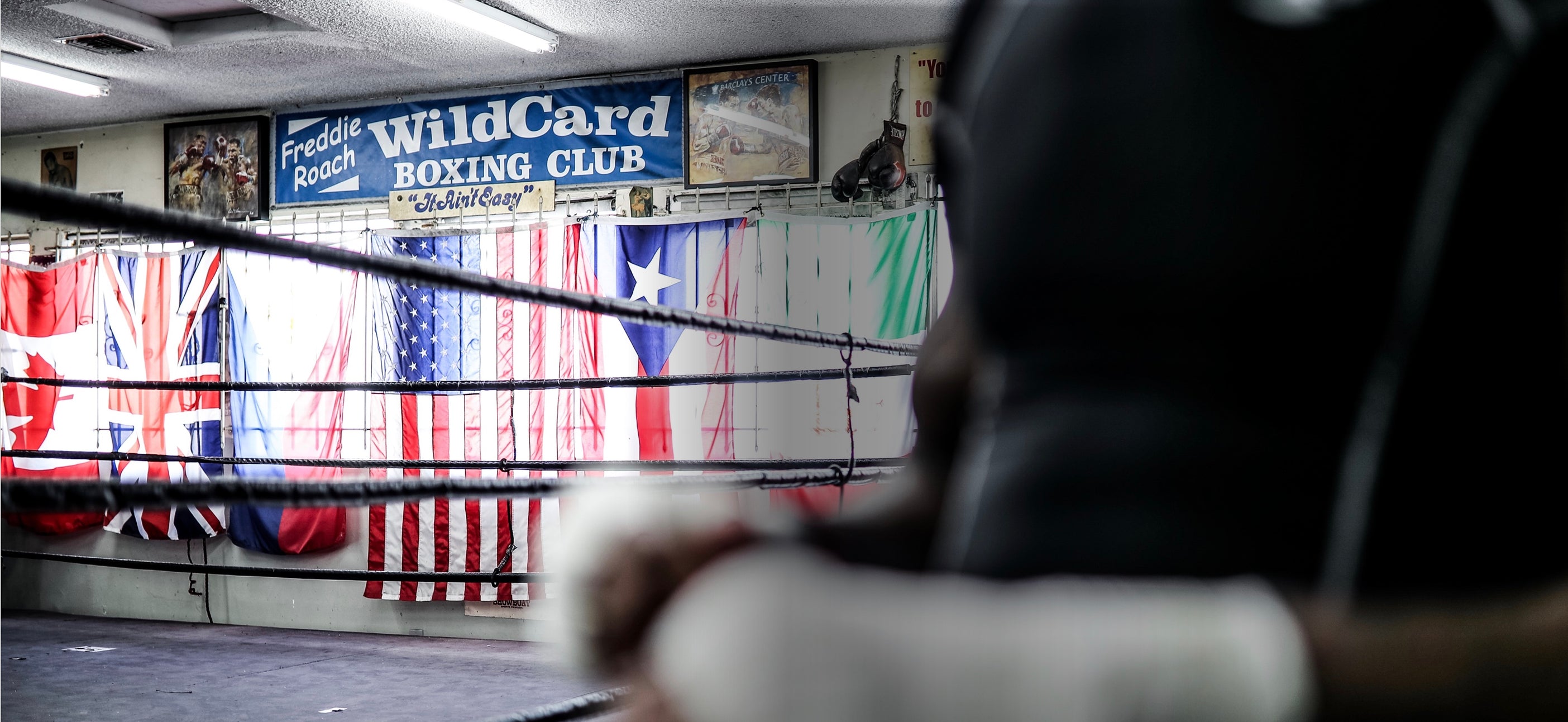 Wild Card Boxing