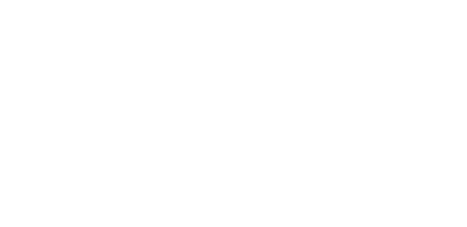 Wild Card Boxing